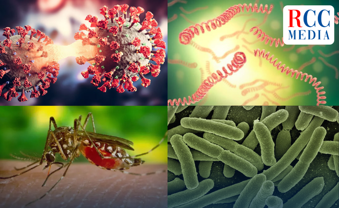 Salud Pública: cero casos de dengue, cólera, leptospirosis y COVID-19 ...