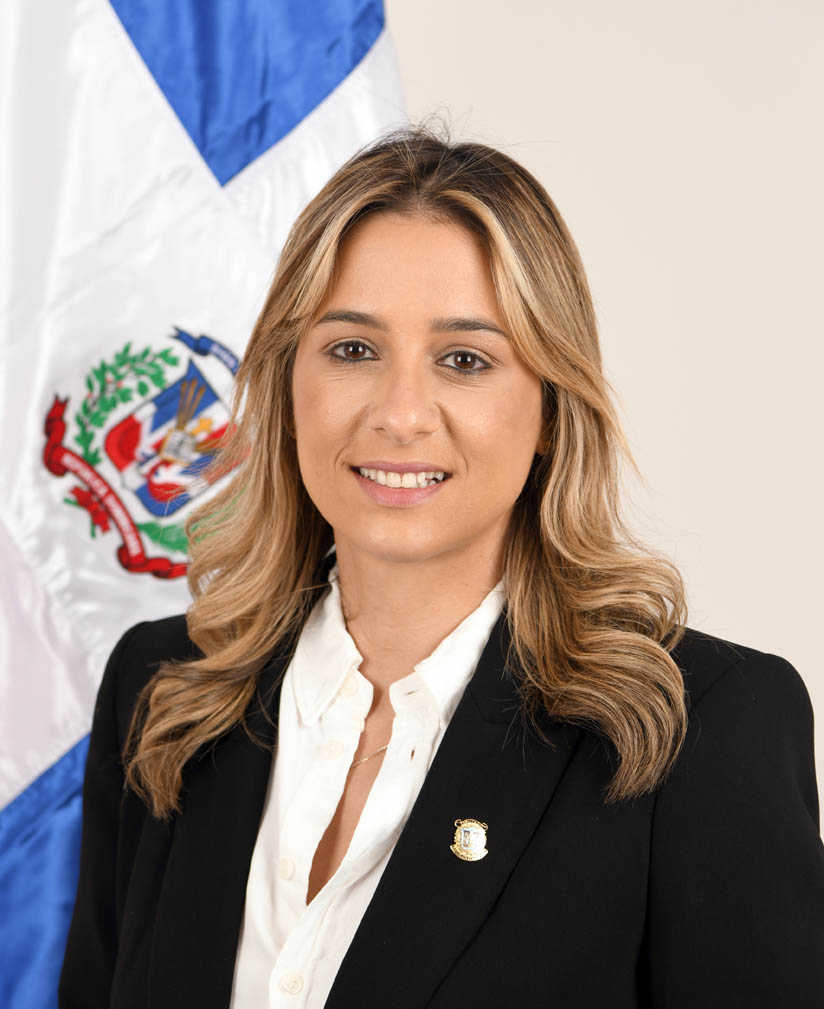 Diputada Liz Mieses garantiza va a llegar al hemiciclo propuesta de ...